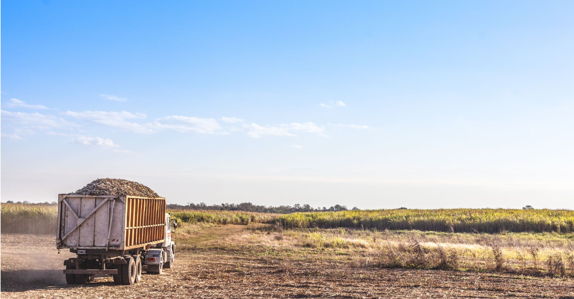 Comercial Erma SRL – Comercializadora de azúcar
