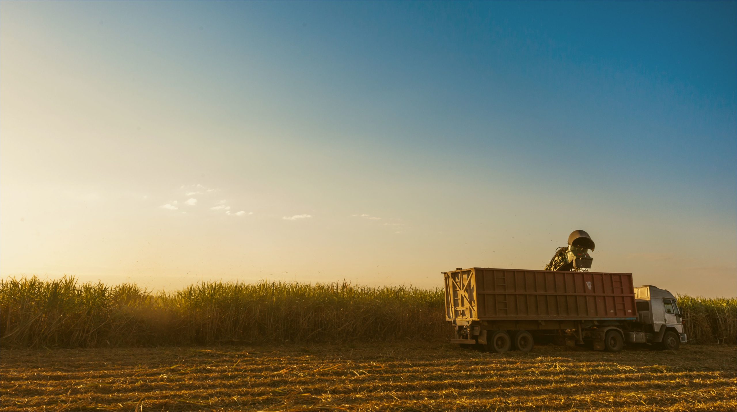 Comercial Erma SRL – Comercializadora de azúcar